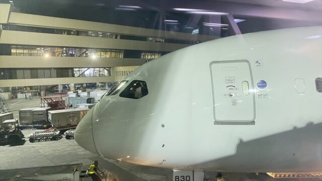 【フライトレポ】日帰りマニラ旅の帰りはB787の普通席 JL78 マニラ～羽田 07DEC22 | 飛行機とJALマイルとビジネスクラスの旅ブログ