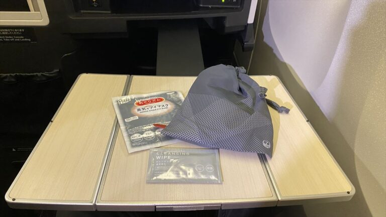 【フライトレポ】フライト中はずっと夜！羽田～シンガポール JL35便 OCT23 | 飛行機とJALマイルとビジネスクラスの旅ブログ