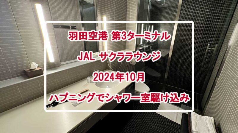 【ラウンジレポ】羽田空港 ターミナル3 JALサクララウンジ 24年10月27日 | 飛行機とJALマイルとビジネスクラスの旅ブログ